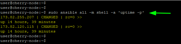 How to Run Remote Commands with Ansible Shell Module | Cherry Servers