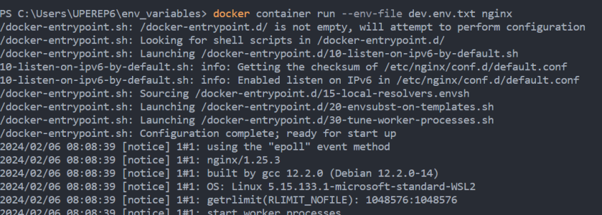 Docker Pass Environment Variables | Cherry Servers Docker Pass Environment Variables | Cherry Servers